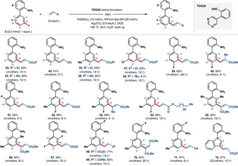 Biphenyl Amine Substrates For Selective Meta CH Functionalization The