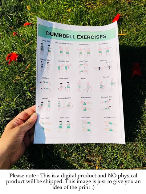 Dumbbell Workout Dumbbell Workout Chart Dumbbell Exercises Dumbbell Exercise Chart Dumbbell