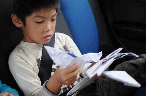 Seat Belt Labeled Image Dataset Images Cv