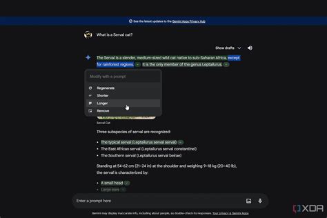 Google Gemini S Latest Update Lets You Highlight And Fine Tune Its Responses
