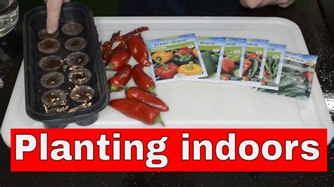 Starting Your Seedlings Indoors Using Grow Lights Youtube