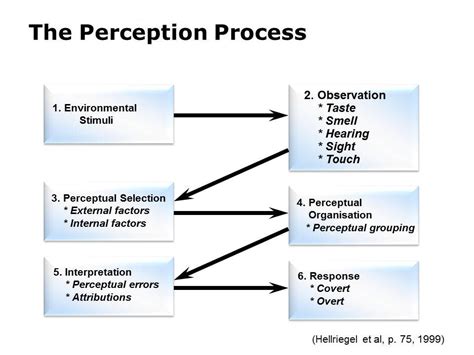 Perception Process Telegraph