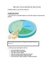 Cell Cycle Summer Pdf THE CELL CYCLE AND SEXUAL LIFE CYCLES Reading Chapter Pp