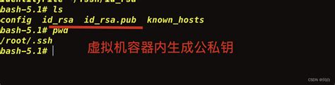 Docker部署jenkins配置公私钥拉取代码docker安装jenkins无法拉取代码 Csdn博客