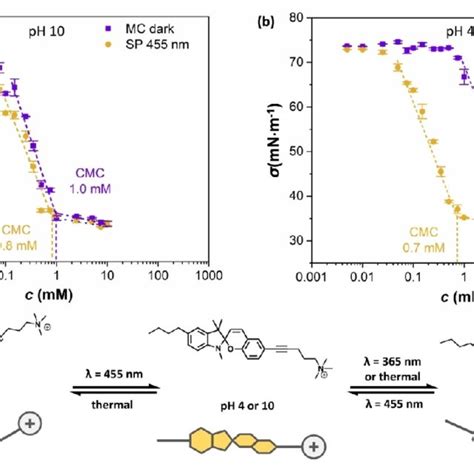 Dependence Of The Surface Energy On The Surfactant Concentration For