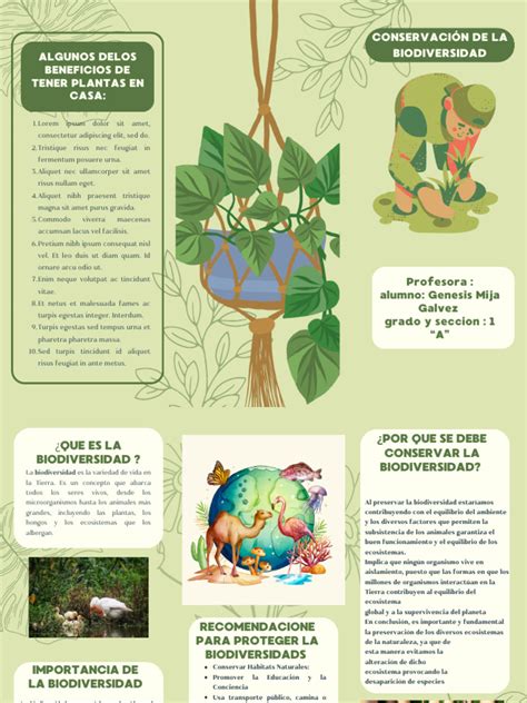 Folleto Tríptico Consejos Para Cuidar A Tus Plantas Ilustrado Verde Pdf