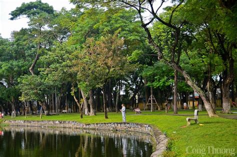 Tăng Không Gian Cây Xanh để Tăng Sức Chống Chịu Với Biến đổi Khí Hậu