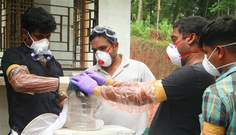 New Age Nipah Virus Continues To Kill In Silence