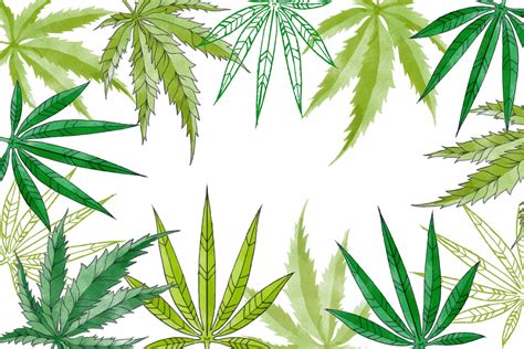 Weed Leaf Background