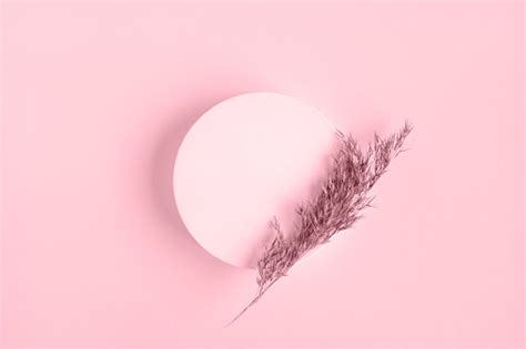 화장품 프리젠 테이션 연단 추상 적 최소한의 기하학적 형태입니다 실린더 스톤 구 한 형태 그림자 제품을 표시하는 장면 쇼케이스
