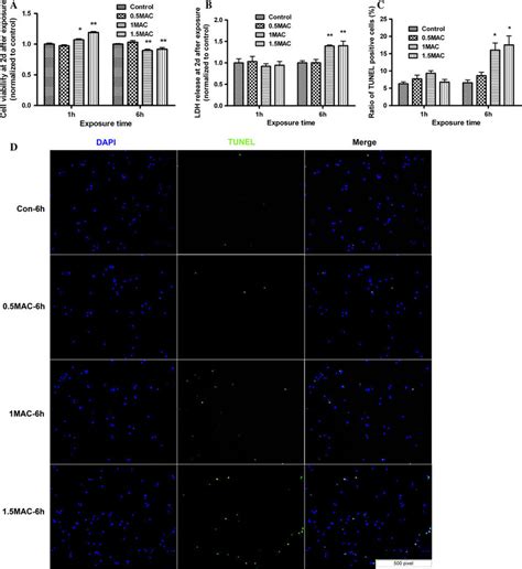 Effects Of Sevoflurane On Cell Viability And Survival A Brief 1 H