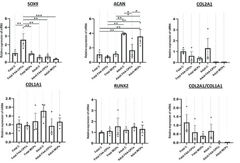 Relative Mrna Expression Encoding Chondrogenic Markers Sox 9 Acan