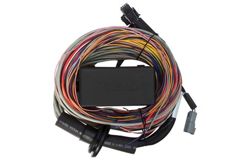 Pd16 Power Distribution Reimagined Haltech