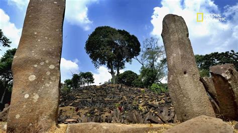 Java Île De Découvrez Lhistoire Fascinante De Cet écosystème Riche Configosfconfigosf