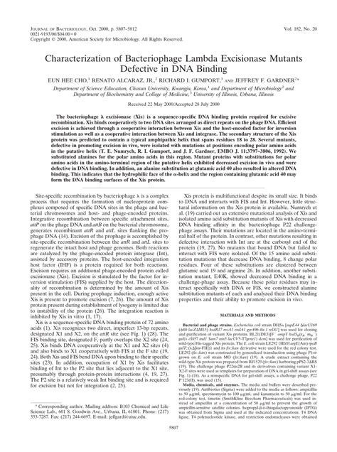 Pdf Characterization Of Bacteriophage Lambda Excisionase Mutants