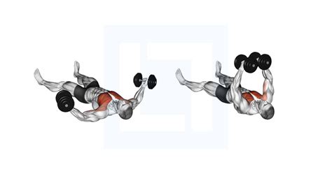Band Chest Fly Guide Benefits And Form