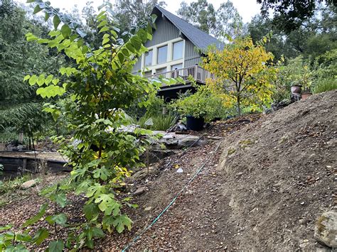 2 Cd14 E02 5 Deb 49 A2 Bb41 D8 D20 A27 Ac9 E — Postimages