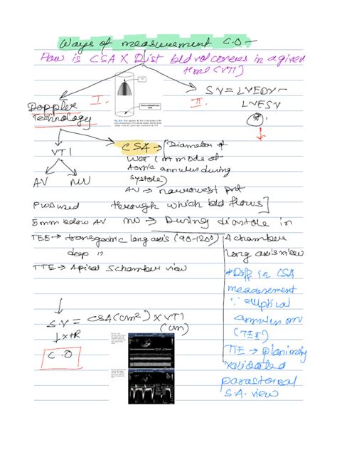 Cardiac Output Measurements By Echo Pdf