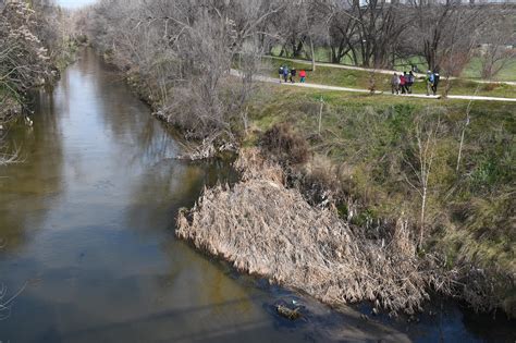 El Río Manzanares El Más Contaminado Por Fármacos De Europa