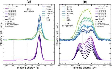 Experimental A C1s Xps And B O1s Xps Spectra Of Unexposed Pc 60 Bm