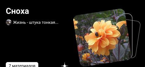 Сноха Жизнь штука тонкая Рассказы о любви дружбе отношениях Жизненные истории Дзен