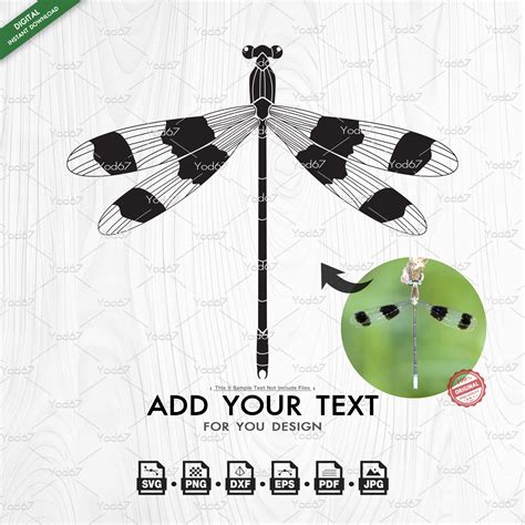 Dragonfly SVG Dragonflies Png Cut File Dragonfly For Cricut Dragonfly Clipart Vector Design