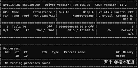ubuntu tesla t4 cuda pytorch yolov5部署 知乎