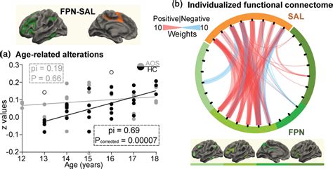 Age‐related Alterations In Individual‐specific Functional Connectome Download Scientific