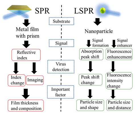 Plasmon Data Systems