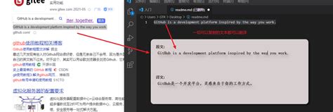 GitHub NK translate 一个快速简洁的中英翻译windows应用程序