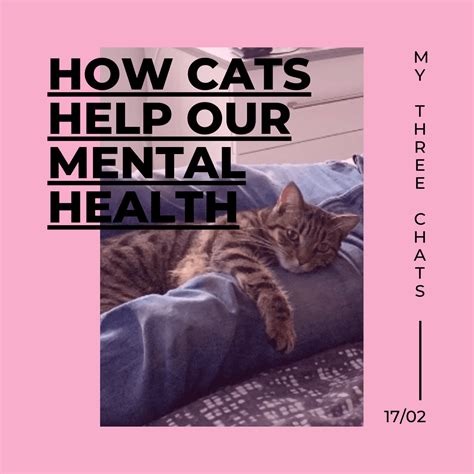 How Cats Help Our Mental Health My Three Cats