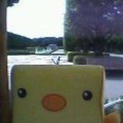 Pochi On Twitter Https T Co W Koncrsa Twitter