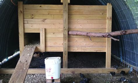 My Cattle Panel Hoop Coop Backyard Chickens Learn How To Raise Chickens