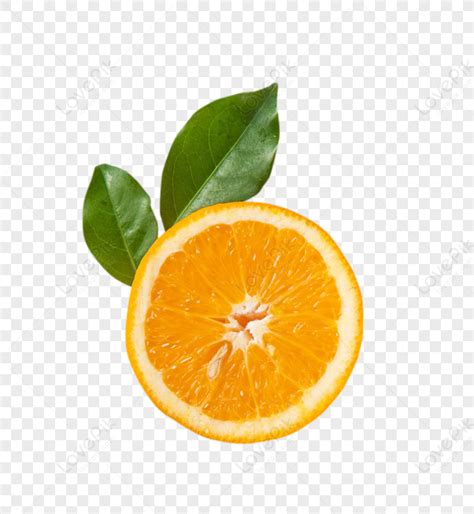 주황색 Png 일러스트 무료 다운로드 Lovepik