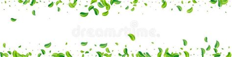 薄荷叶矢量图全景白 向量例证 插画 包括有 新鲜 橄榄 生态 格式 象草 玻色子 有机 概念 231346242