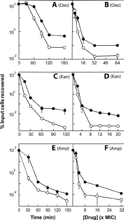 Effect Of Plumbagin On Antimicrobial Lethality Wild Type E Coli