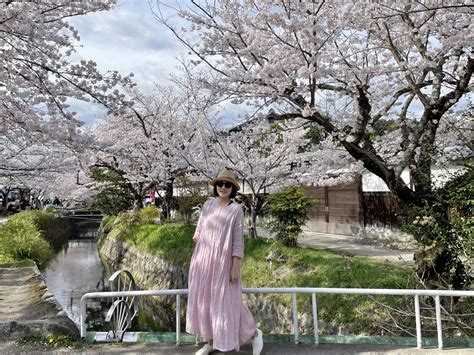 京都｜哲學之道賞櫻美食 飯糰專門店青おにぎり Irenes Travel And Living