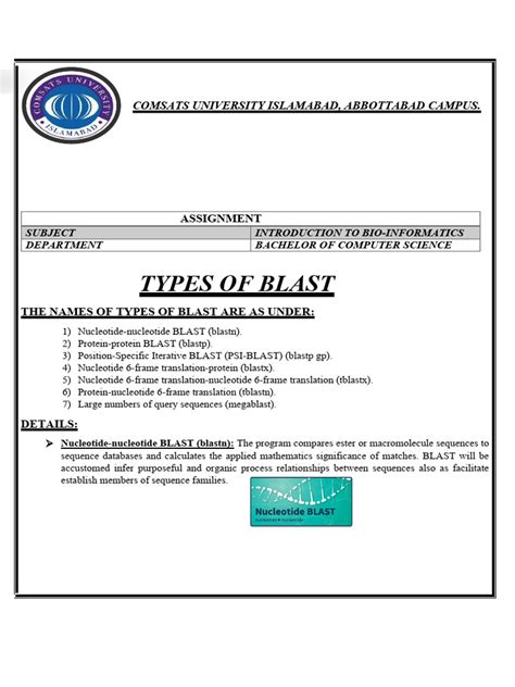Bio Informatics 02 Types Of Blast Pdf Sequence Alignment Open Reading Frame