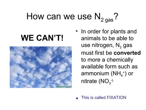 Nitrogencycrererle Edfeeeweeeeeee1ppt