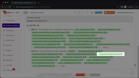 Pinpointing The Blocking Python Code Paths Using Openresty Xray