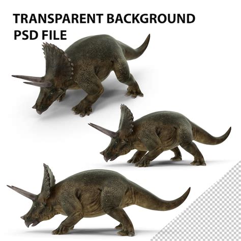 Premium Psd Triceratops Walking Png