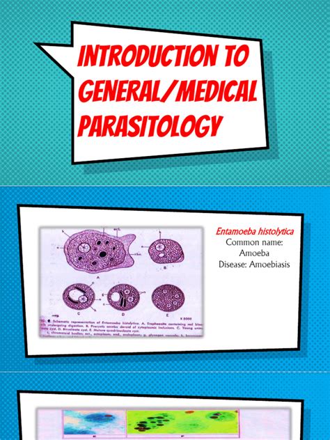 Parasitology 1 E Histolytica To Plasmodium Spp Pdf Diseases And