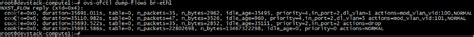 Openstack Neutron网络插件学习（三）【open Vswitch实现】br Int Csdn博客