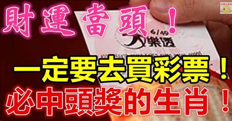 這幾個生肖，年底『財運當頭』一定要去買彩票！ Peekme