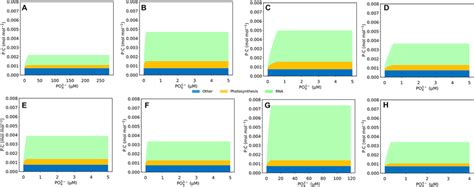 Species Specific Predictions Of Macromolecular Allocation Of P To Three