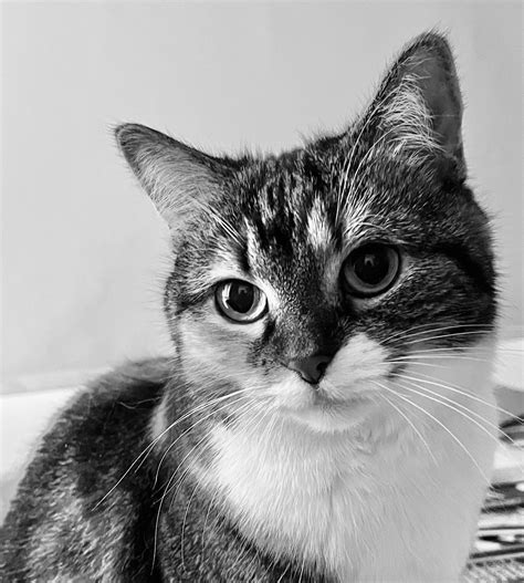 Hildén Photography Added A New Photo Hildén Photography