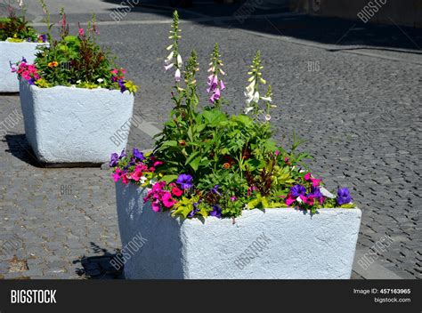 Perennial Flower Beds Image And Photo Free Trial Bigstock