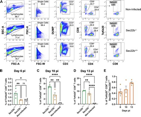 Sec22b Dependent Antigen Cross Presentation Is A Significant
