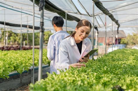 실험실 분석을 위한 테스트의 생물학자 두 명의 과학자가 유기농 농장에 서 있습니다 온실의 실험실을 확인하십시오 바이오 매스에 대한 스톡 사진 및 기타 이미지 Istock